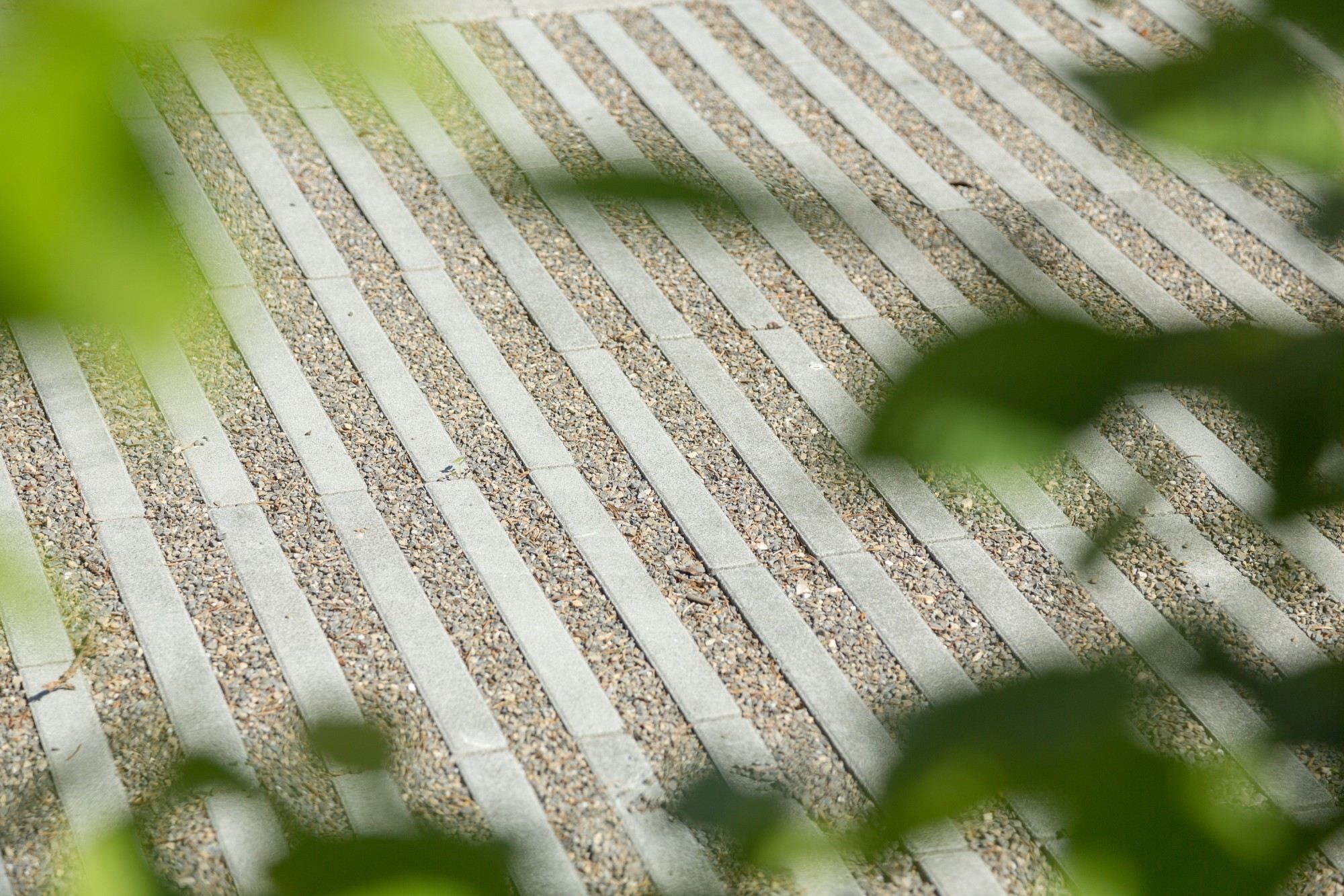 Godelmann GDM.SCADA Rasenliner Kaufen