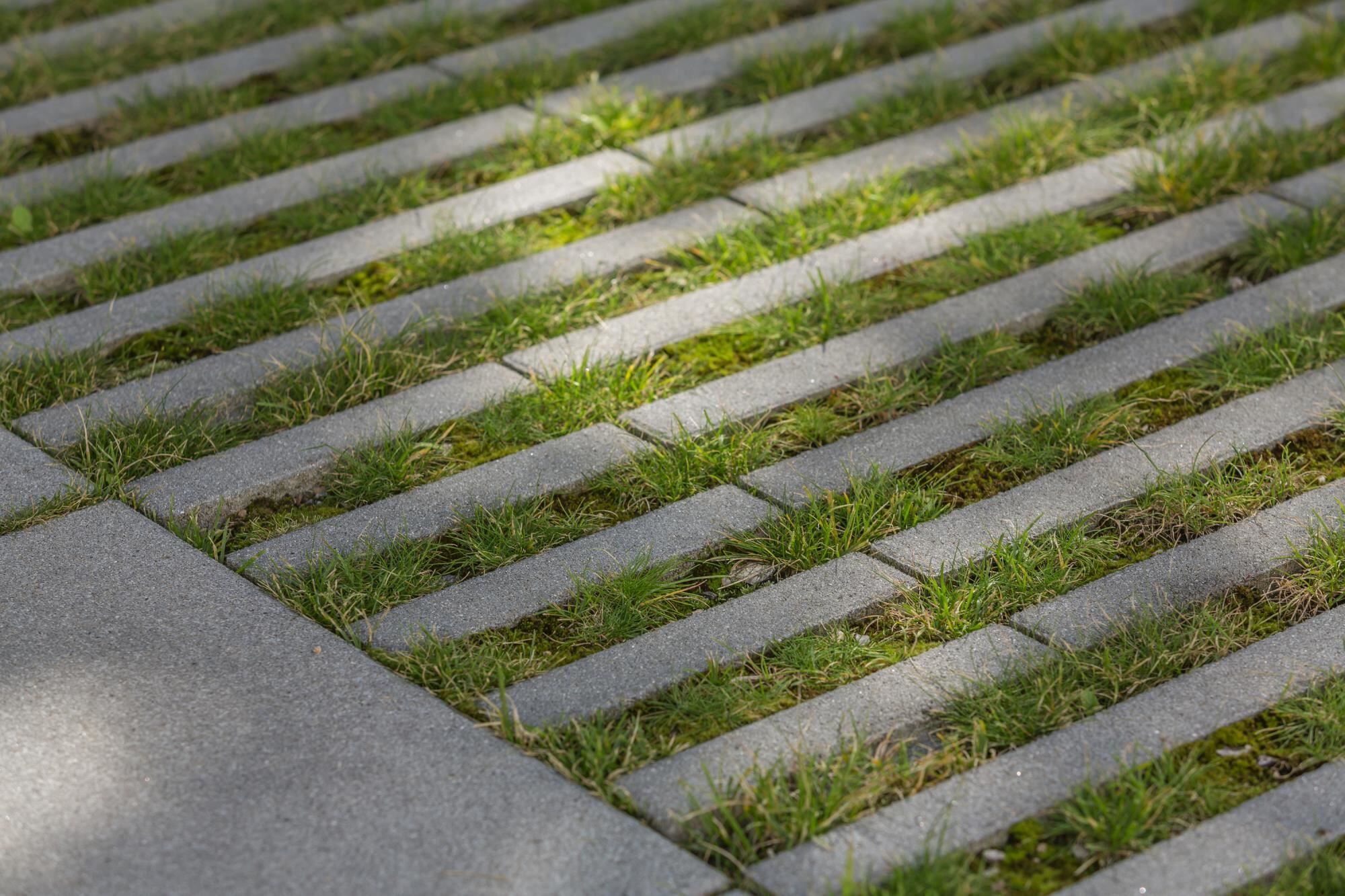 Godelmann GDM.SCADA liner proActive platte - 42 mm fuge Kaufen