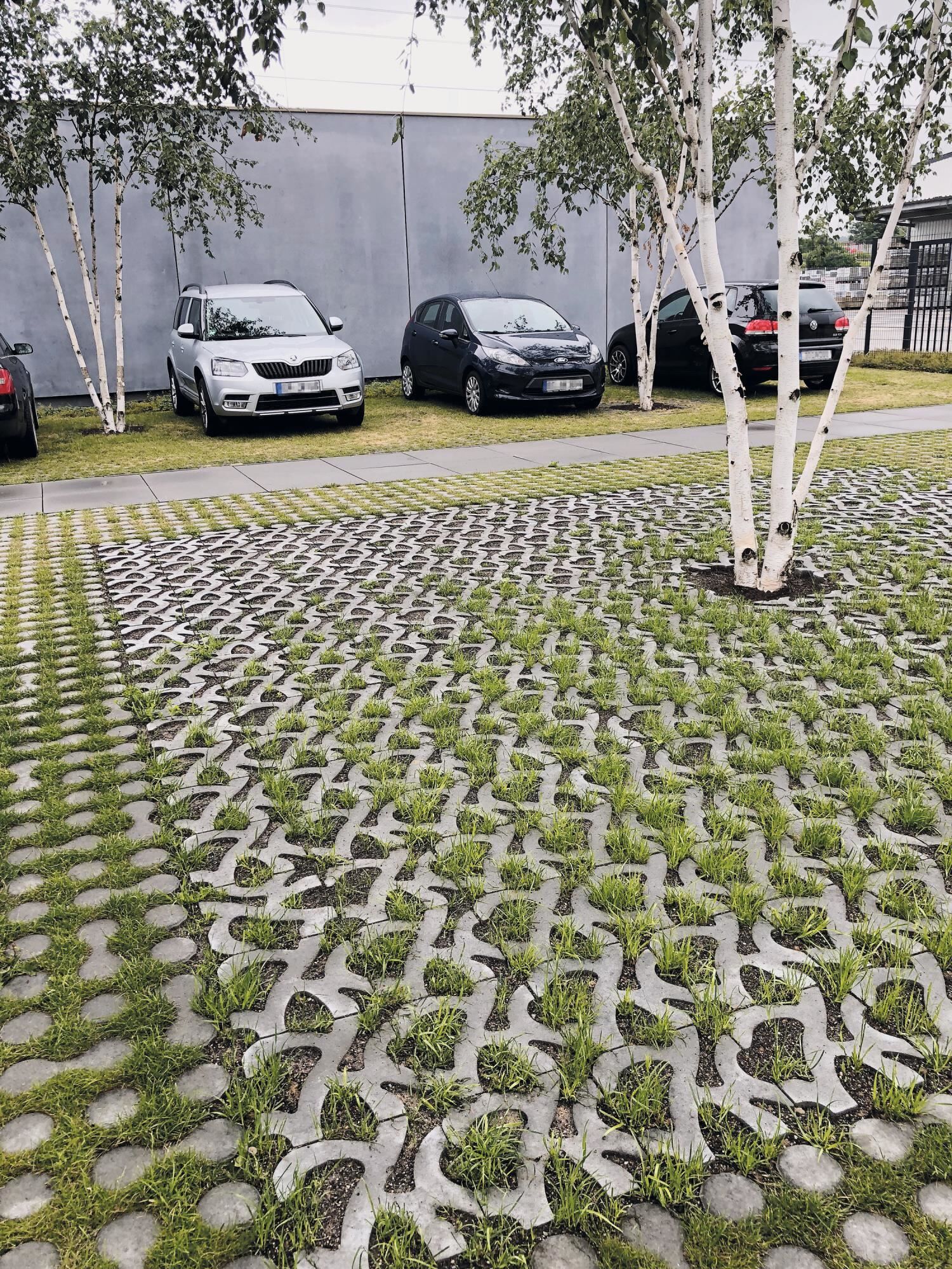 Godelmann GDM.SCADA ornament - Rasenornament - nativo Grau VZ5 300 x ...