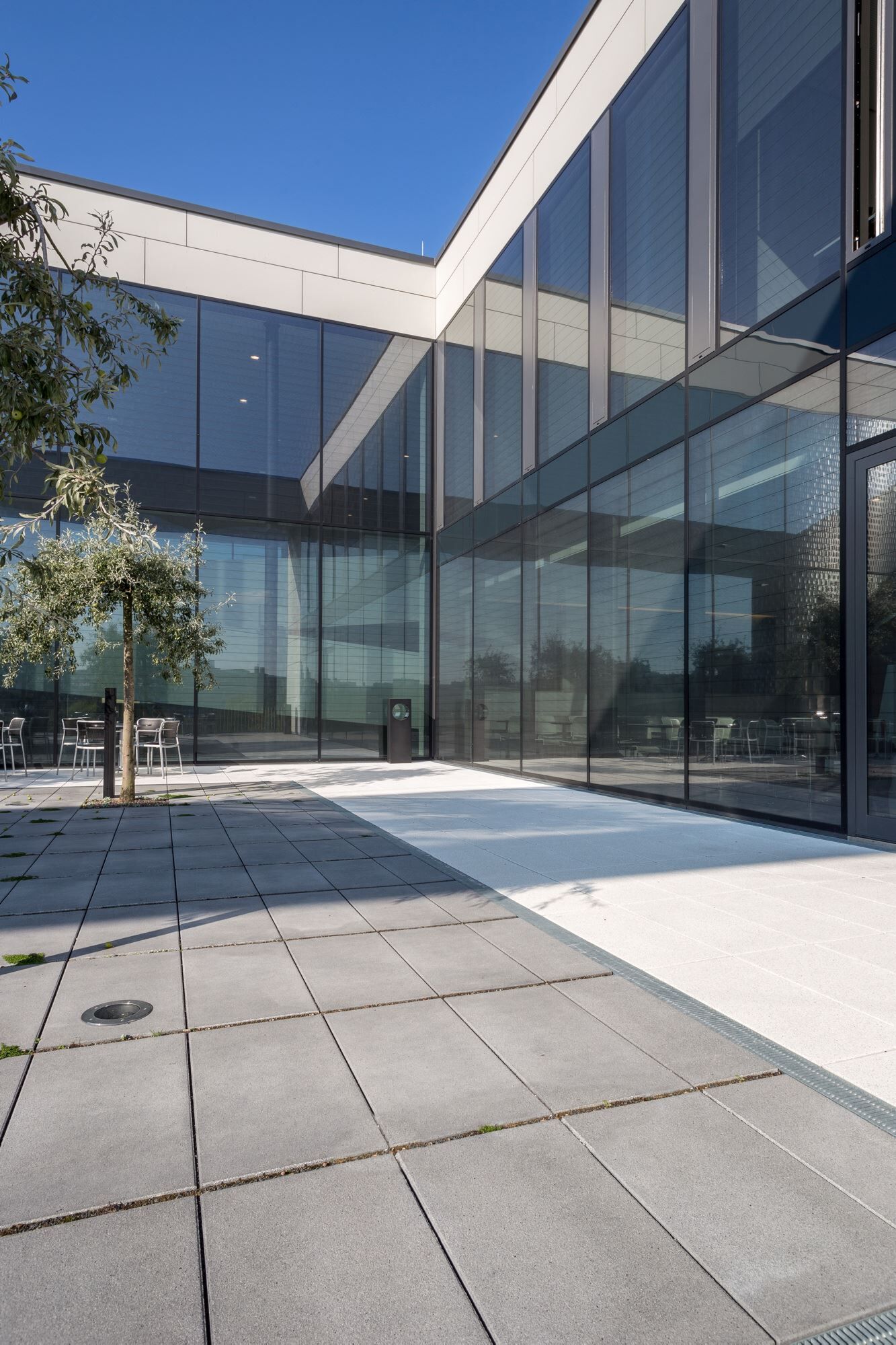 Klostermann QUINTA ferro Kaufen