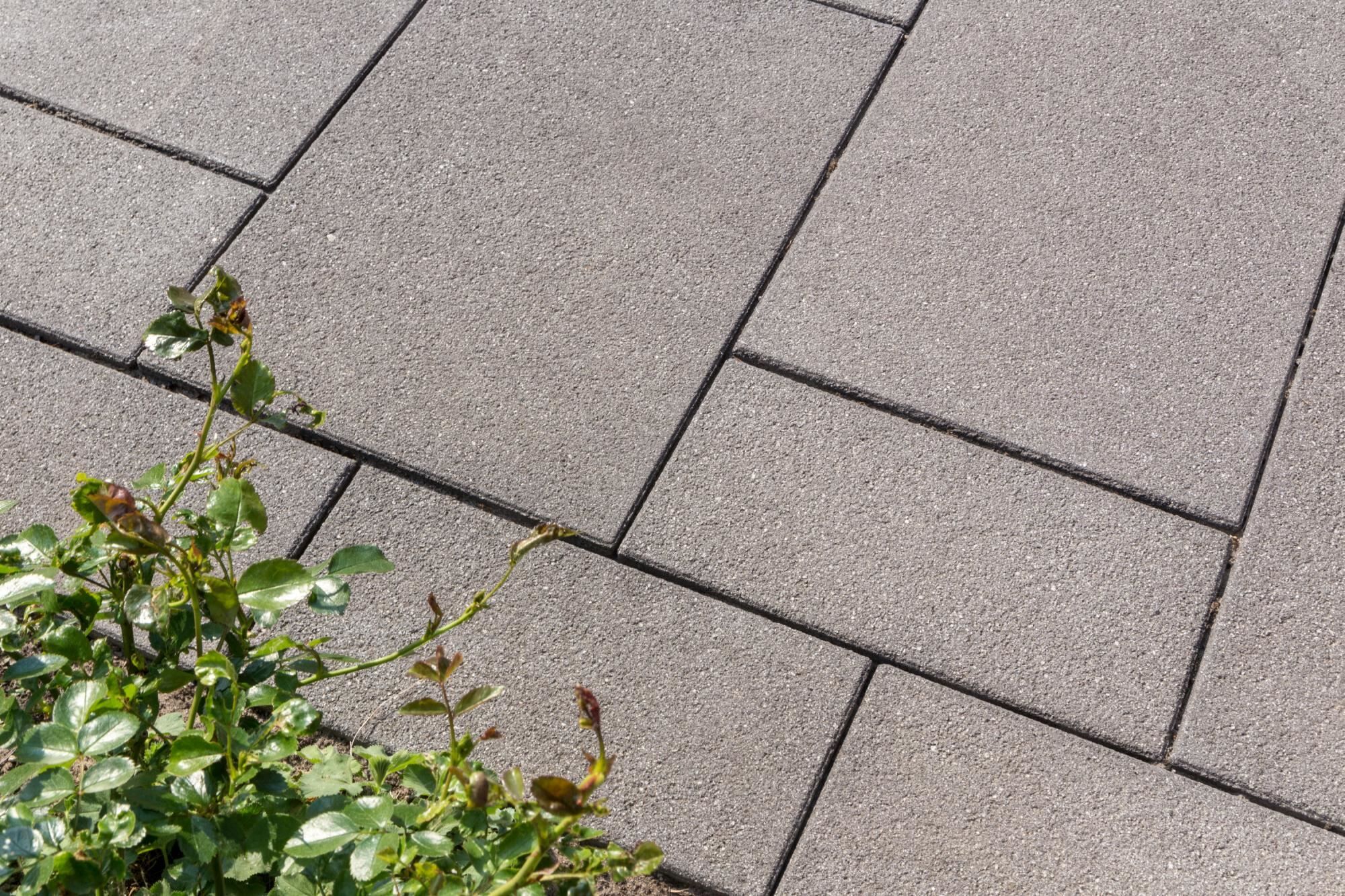 Klostermann QUINTA LIGHT ferro Kaufen