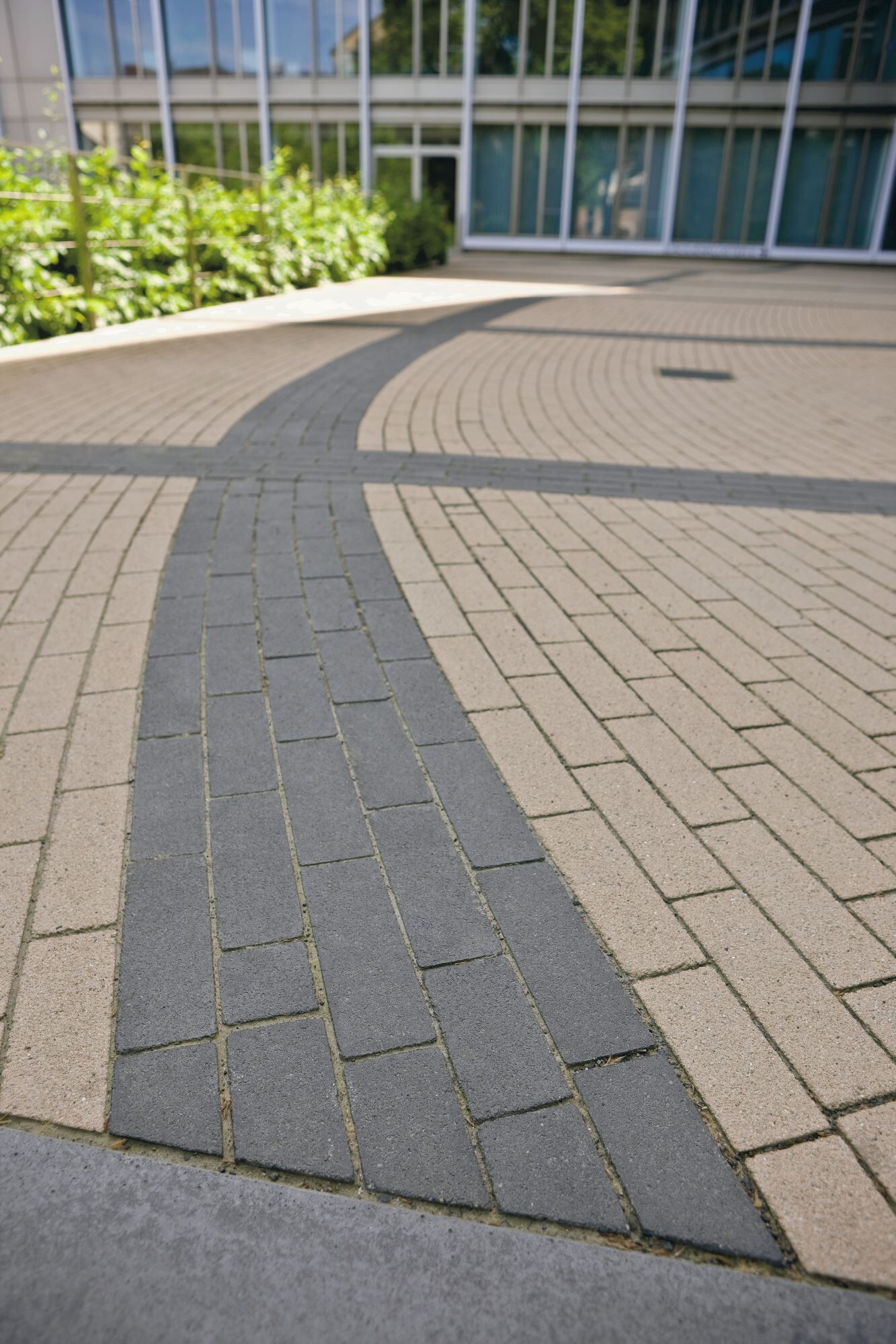 Klostermann VIASTON linear Kaufen