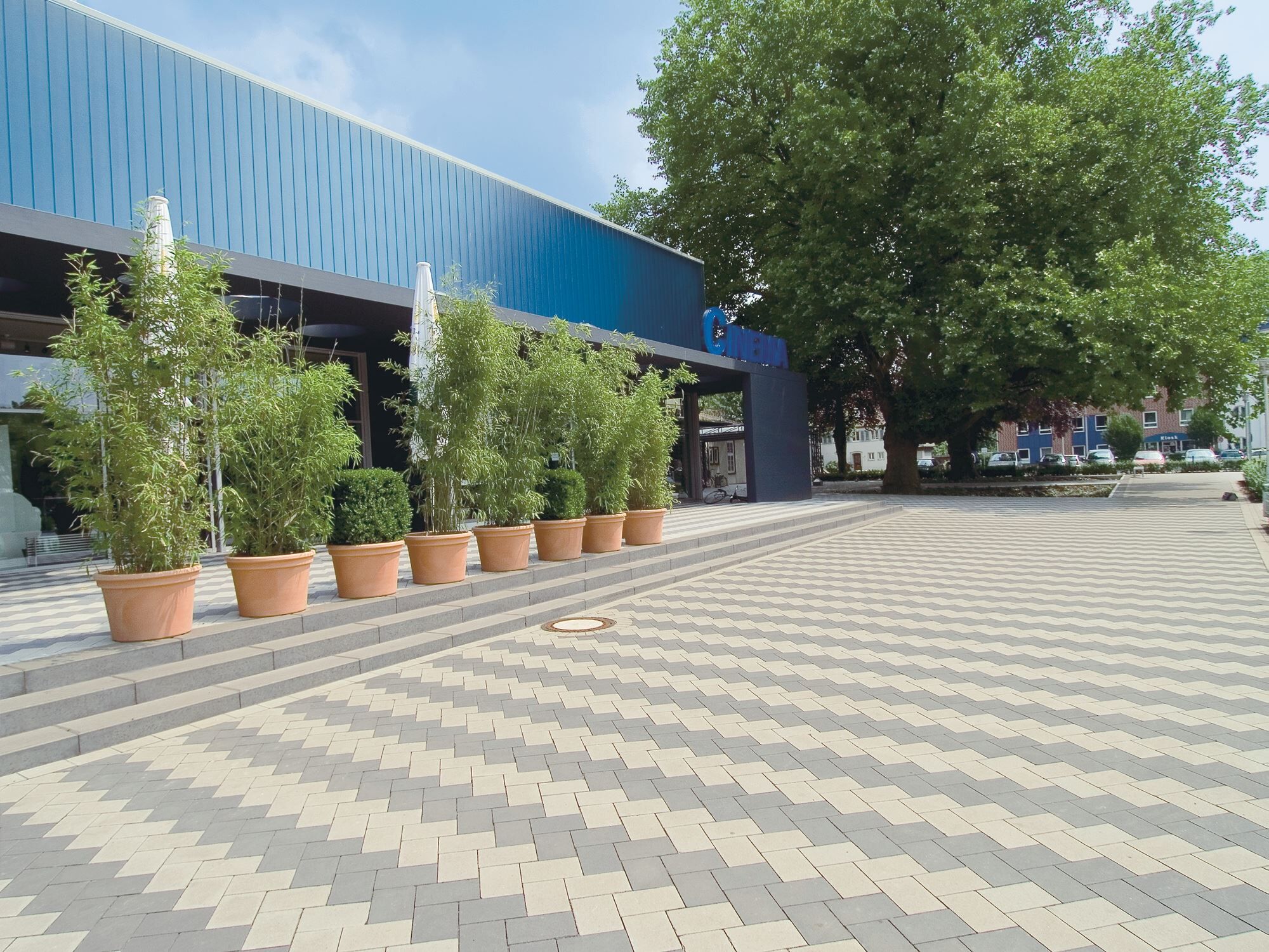 Klostermann VIASTON linear Kaufen