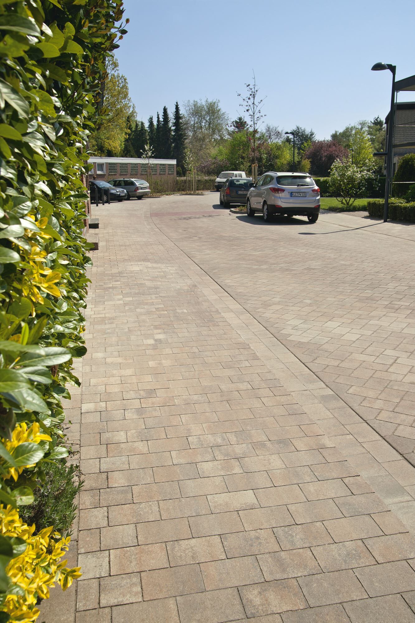 Klostermann VIASTON linear Kaufen