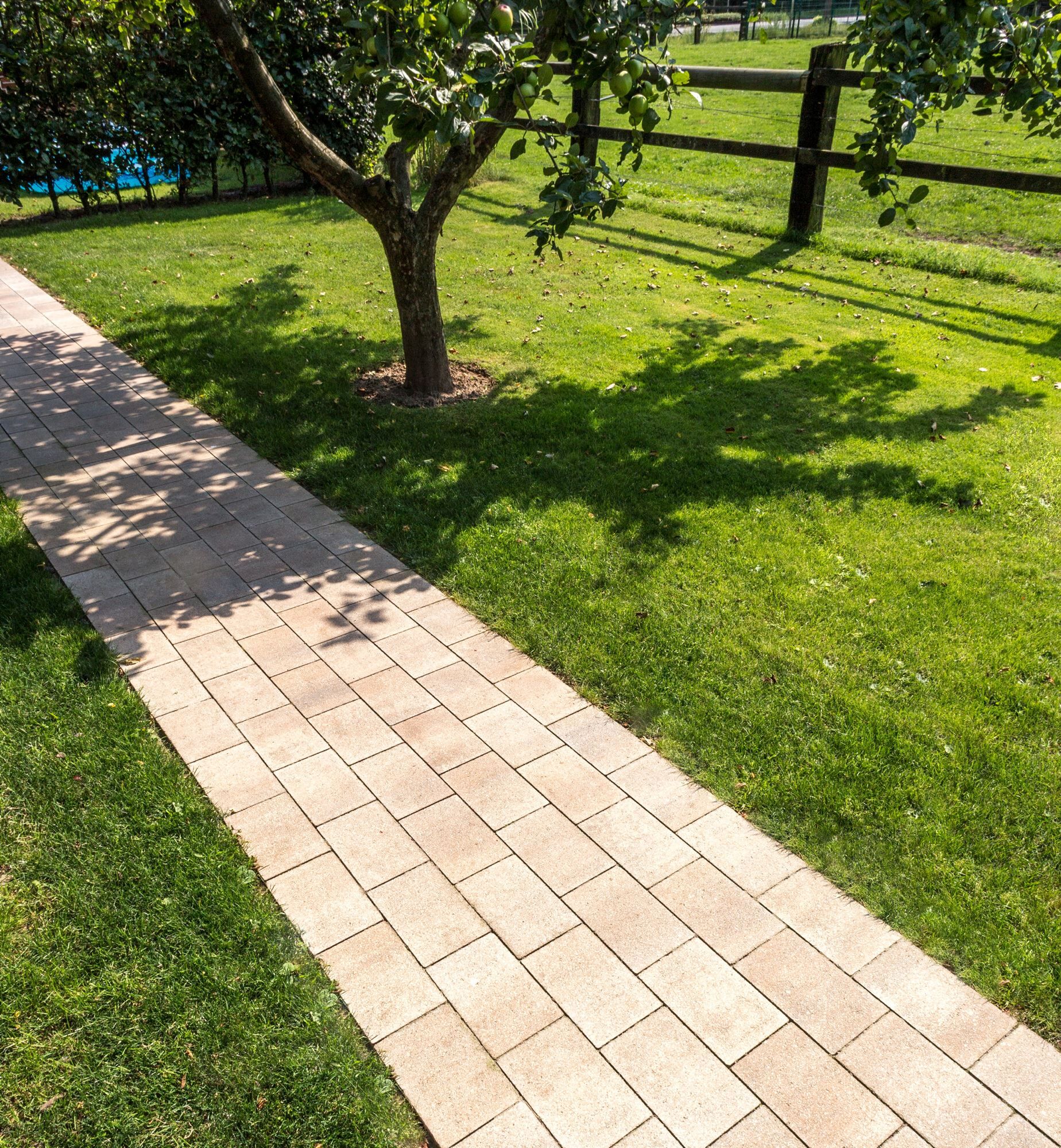 Klostermann VIASTON linear Kaufen